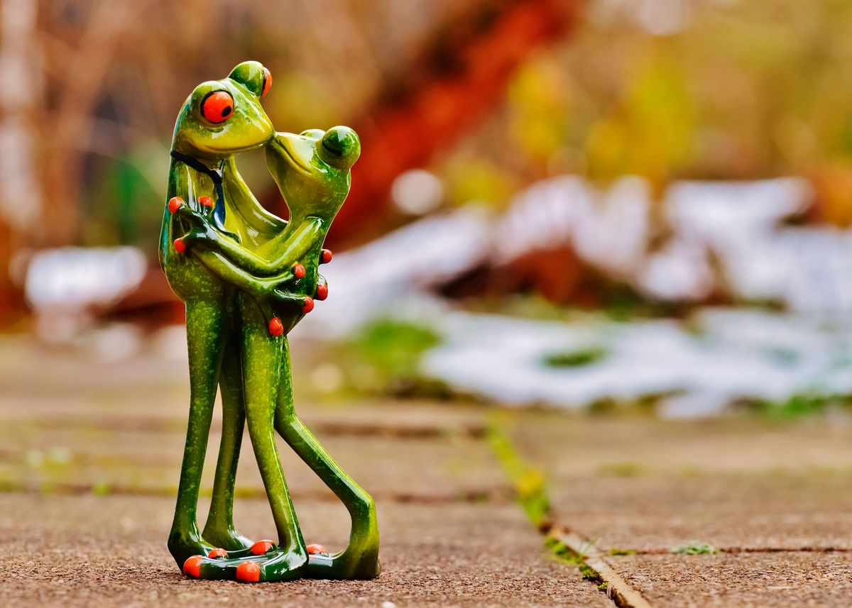 'COUPLE OF FROGS IN LOVE' Poster by Osvaldo Ramos Artist | Displate