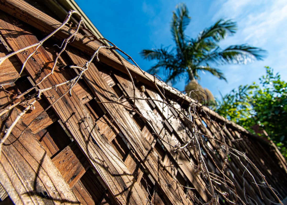 'Enchanted Fence' Poster by James Suarez | Displate