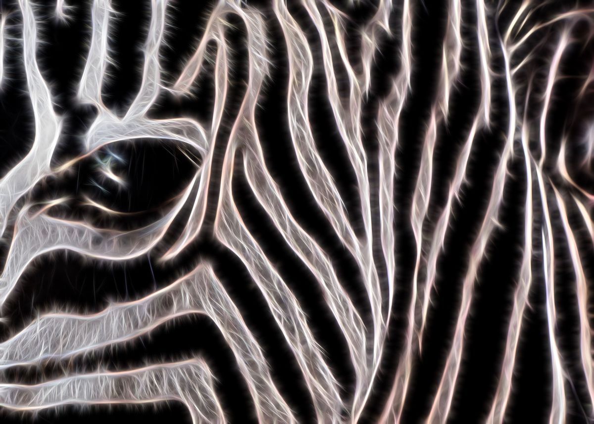 'Zebra Stripes' Poster, picture, metal print, paint by Xeire Displates ...