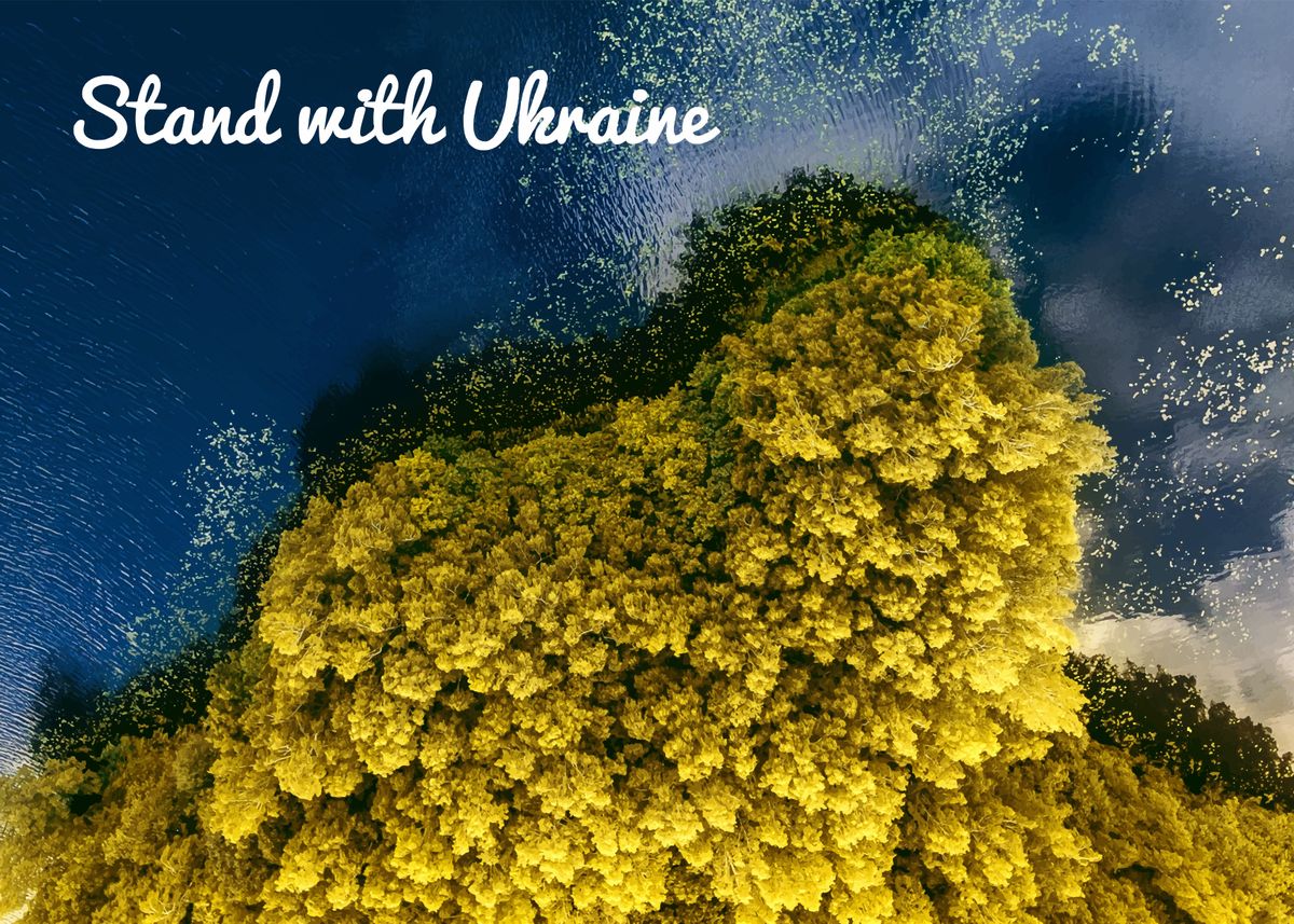 'Stand with Ukraine' Poster, picture, metal print, paint by TAN TIEN ...