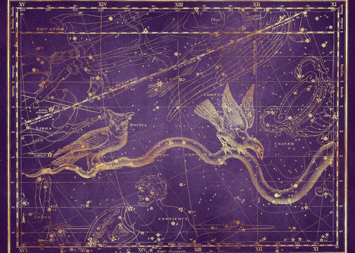 'Purple Gold Star Map 02' Poster, picture, metal print, paint by Aloke ...