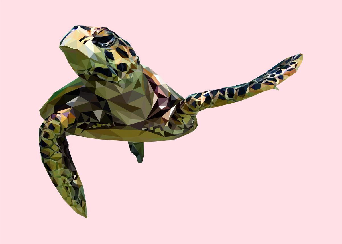 'nursery animal tortoise' Poster, picture, metal print, paint by ...