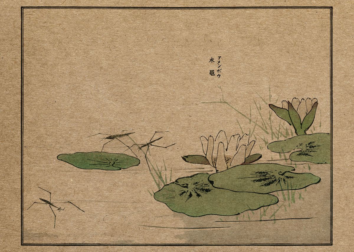 'Water striders' Poster, picture, metal print, paint by Nguyen Quoc ...