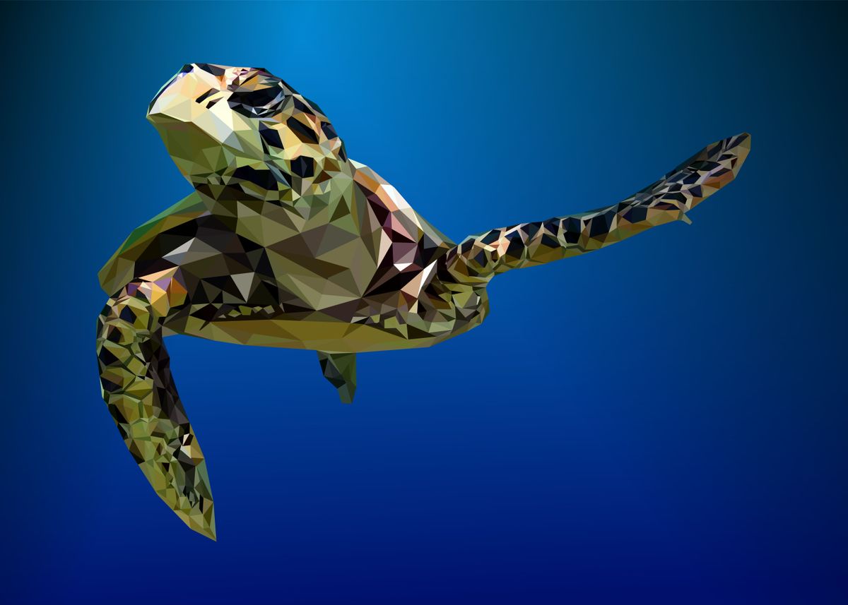 'nursery animal tortoise' Poster, picture, metal print, paint by ...