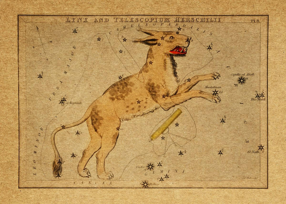 'Lynx chart' Poster, picture, metal print, paint by Na Hwajin | Displate