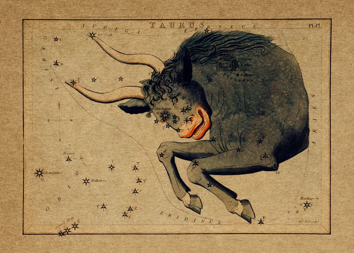 'Taurus chart' Poster, picture, metal print, paint by Na Hwajin | Displate