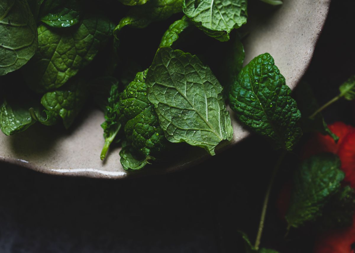 'Mint' Poster, picture, metal print, paint by Malwina Lewinska | Displate