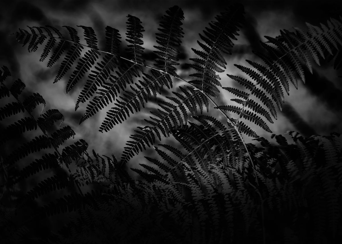 'Gothic Nature 5' Poster, picture, metal print, paint by Cesar Torres ...