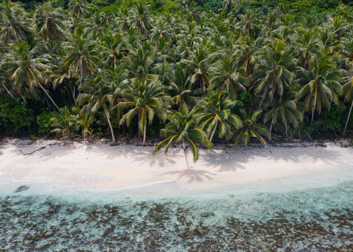 'Fagaloa Samoa' Poster by Charles Netzler | Displate
