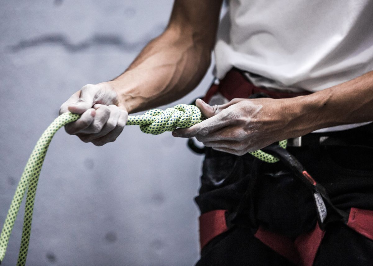 'Abseiling Preps ' Poster, picture, metal print, paint by Sam Brady ...