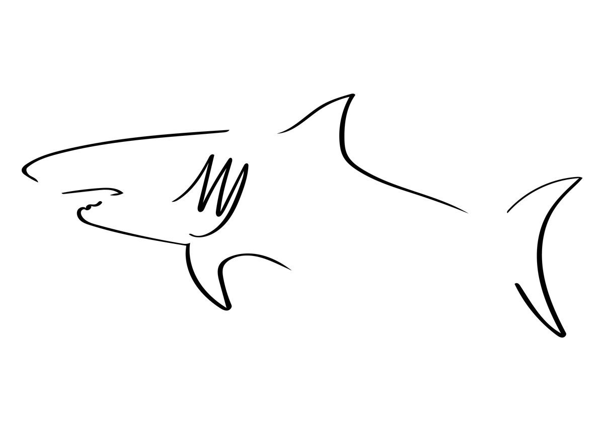 'Shark Line Art Minimal' Poster, picture, metal print, paint by Chris ...