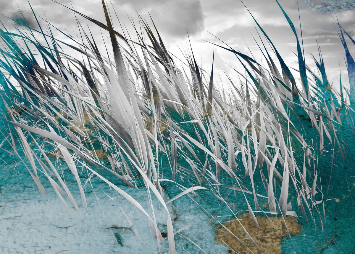 'Silver and blue cattails' Poster, picture, metal print, paint by Edy ...