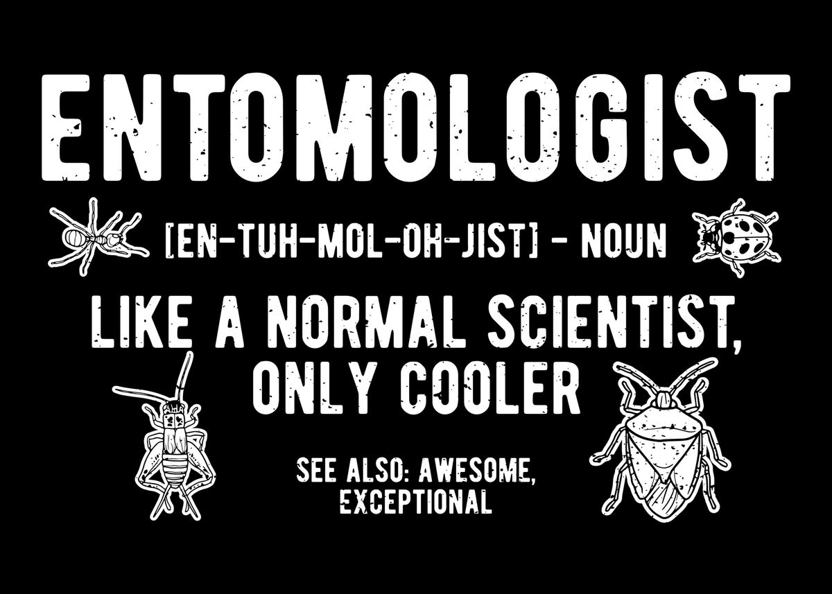 'Entomologist' Poster, picture, metal print, paint by DesignsByJnk5 ...