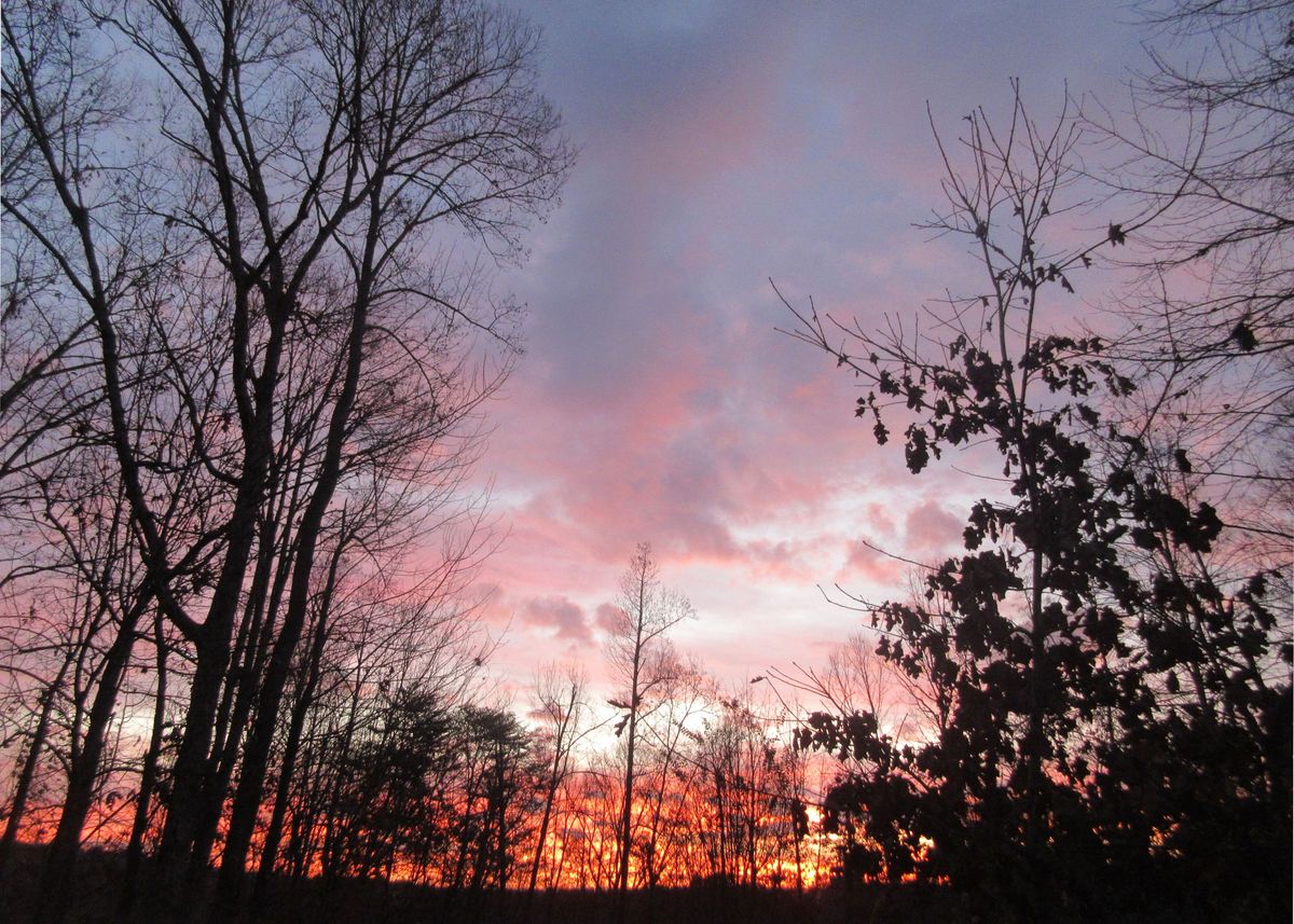 'Dahlonega Georgia Sunset' Poster, picture, metal print, paint by Rosie ...