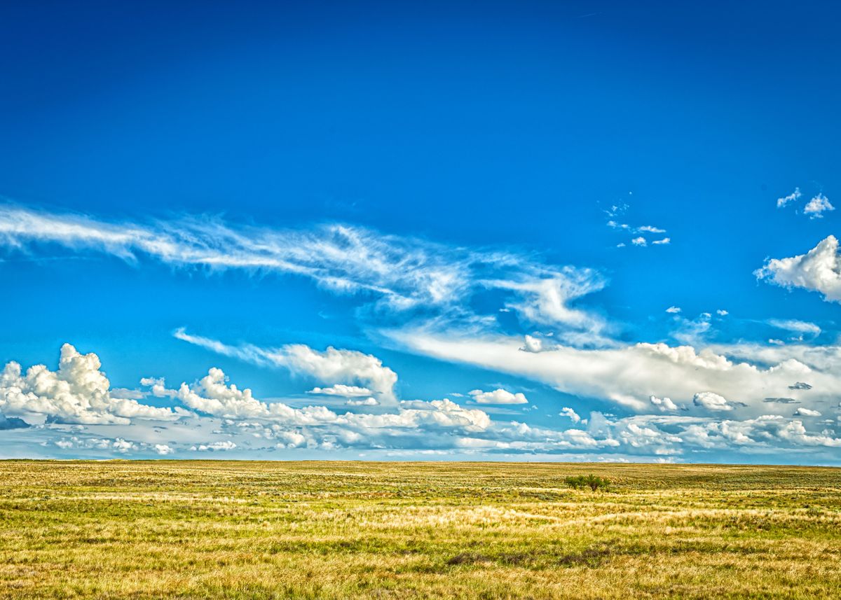 'The Great Plains' Poster, picture, metal print, paint by Gestalt ...