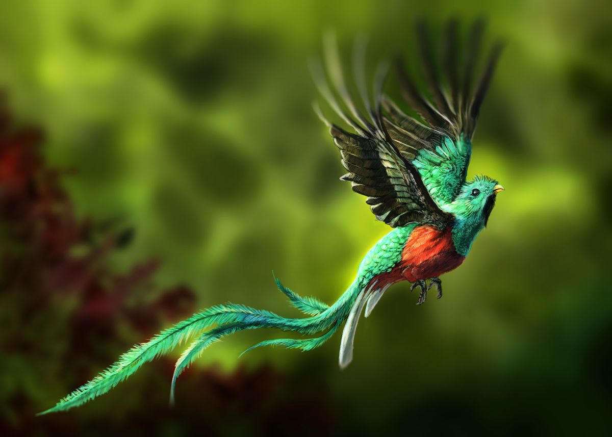 Quetzal Flying Painting