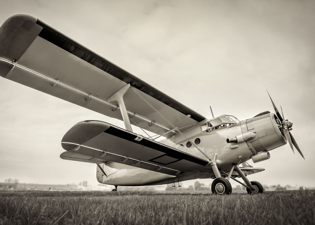 'biplane' Poster, picture, metal print, paint by Frank Peters | Displate