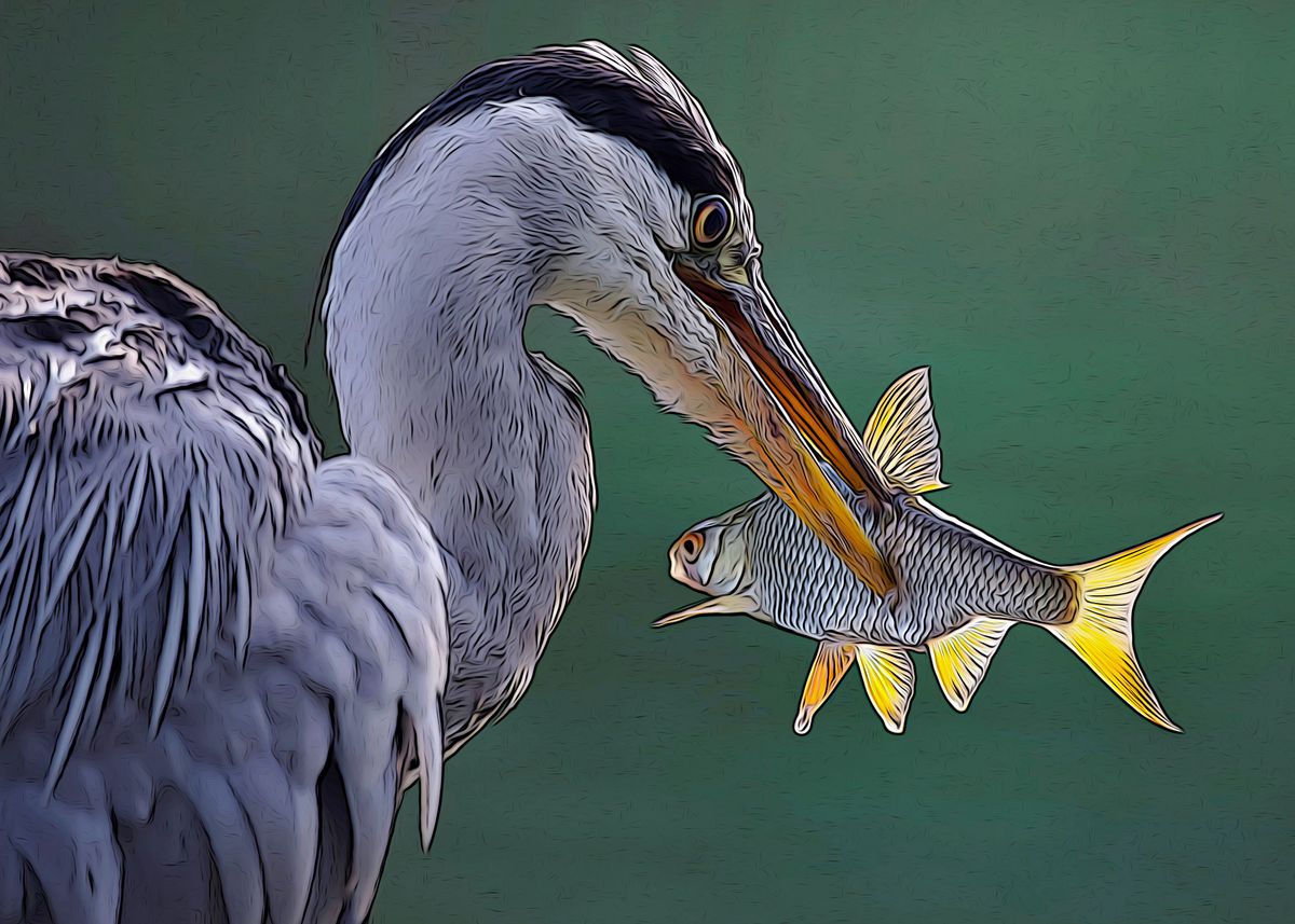 'STORK EAT FISH' Poster, picture, metal print, paint by Reza Purwanto ...