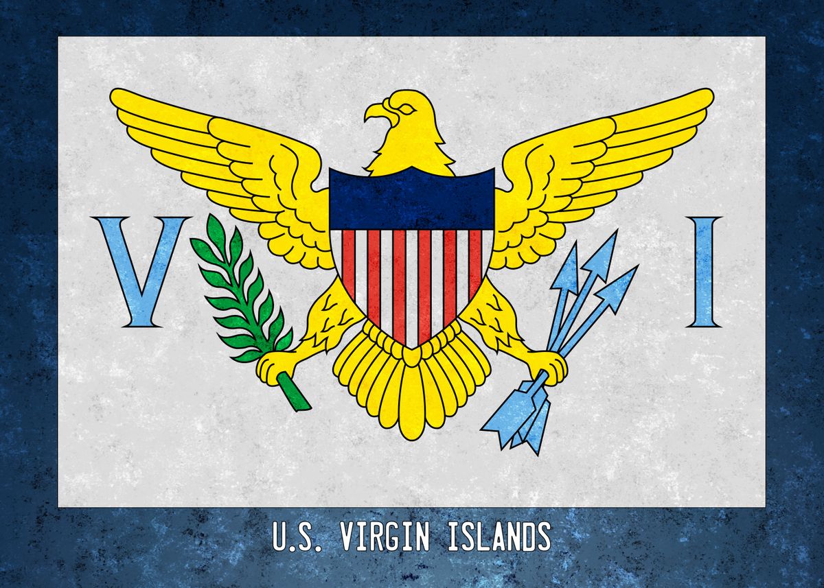 'Flag of US Virgin Islands' Poster by Enzwell | Displate