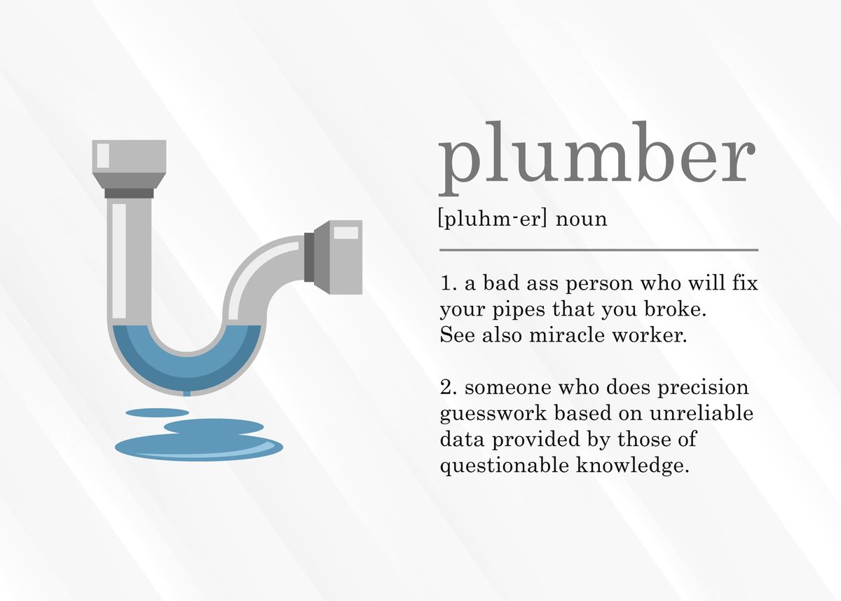 'Funny Plumber Definition' Poster, picture, metal print, paint by ...
