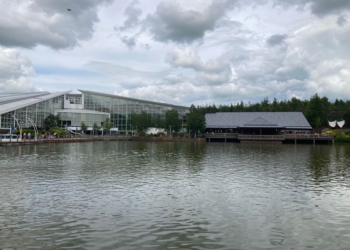 'Center Parcs' Poster, picture, metal print, paint by Jack Mac Intyre ...