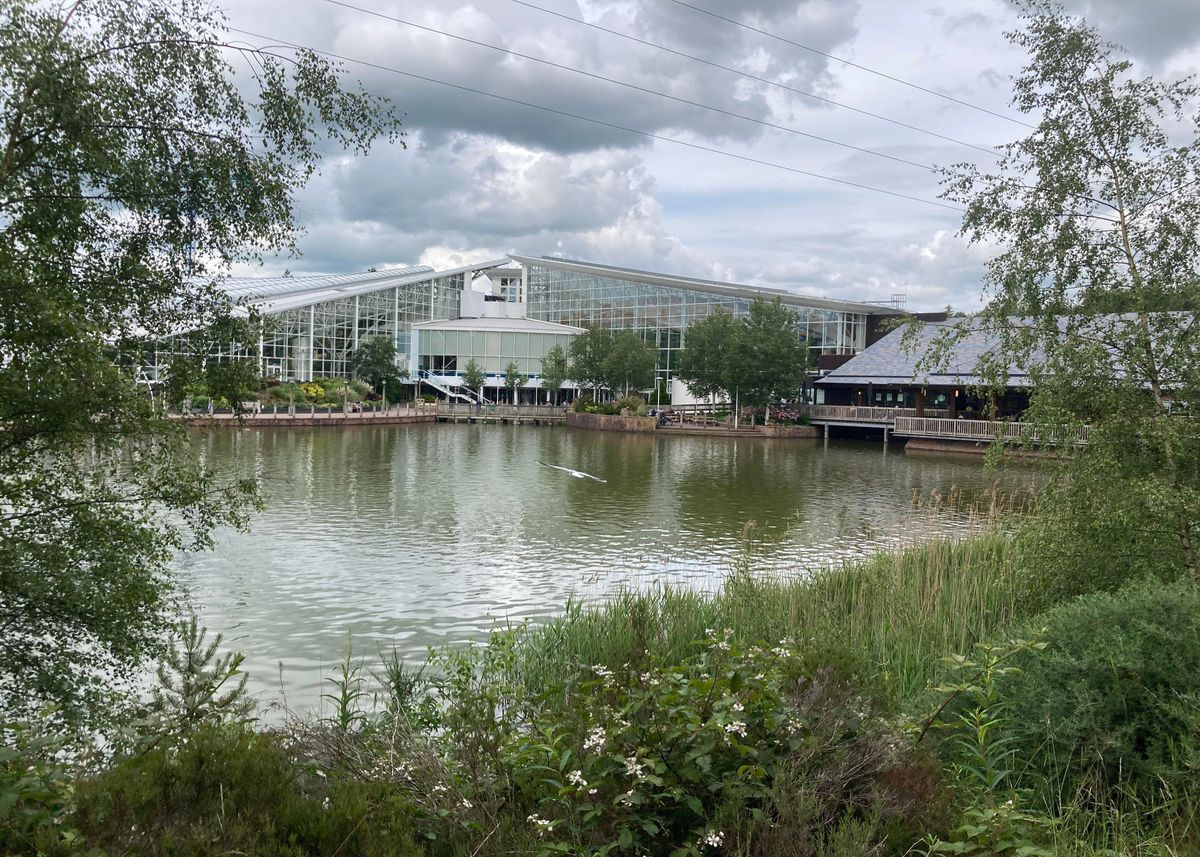 'Center Parcs' Poster, picture, metal print, paint by Jack Mac Intyre ...