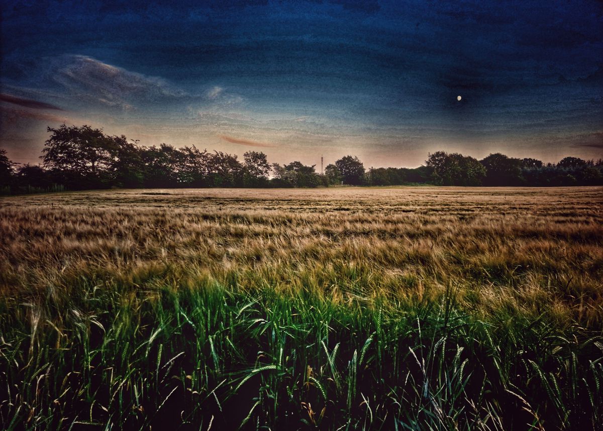 'Surreal Field' Poster, picture, metal print, paint by Mads Jepsen ...