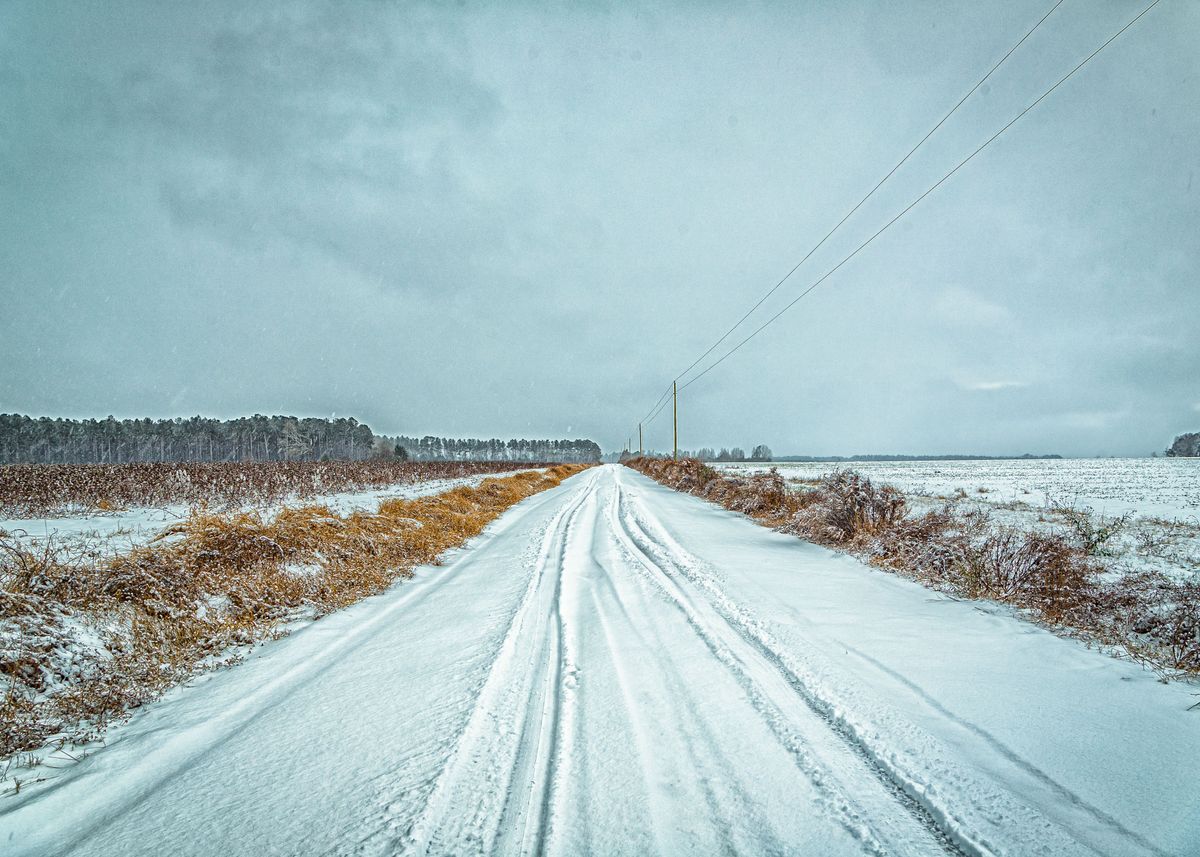 'January Snow Day' Poster by Gestalt Imagery | Displate