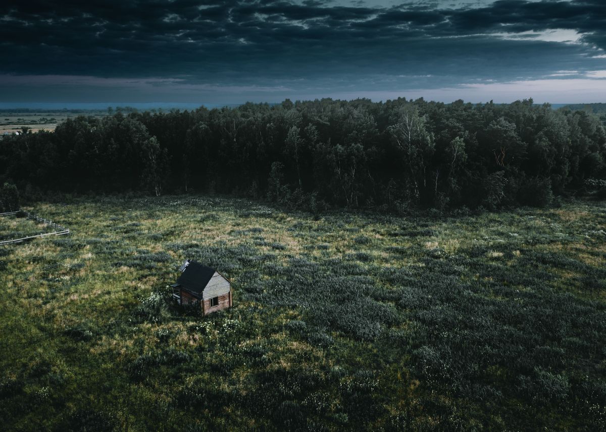 'Camp' Poster, picture, metal print, paint by Adam Stolarczyk | Displate