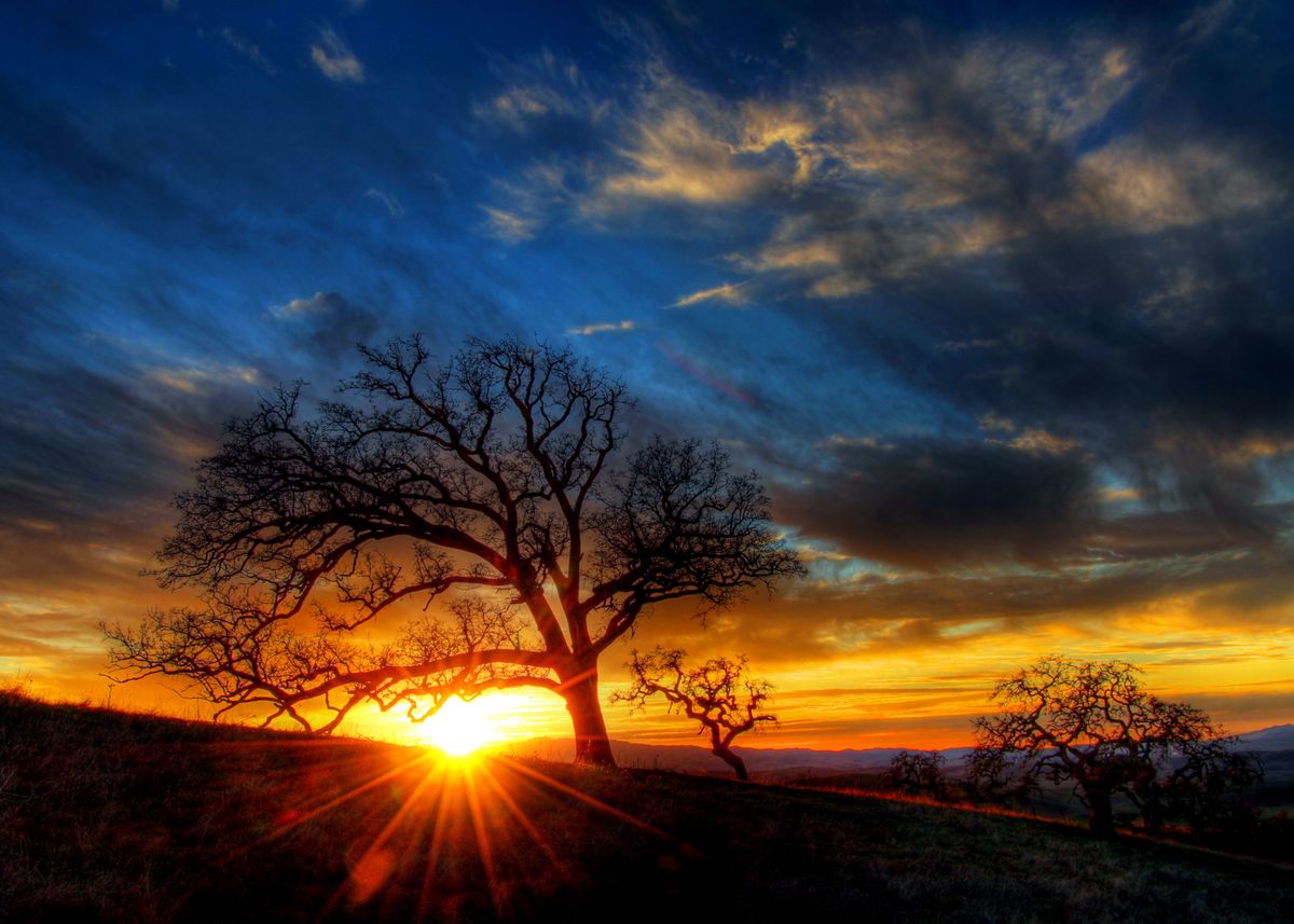 'Hill sunset view' Poster, picture, metal print, paint by AxselYustisio ...