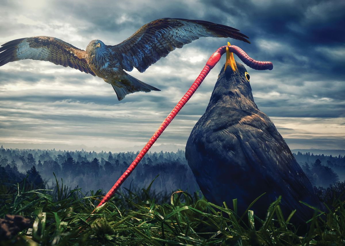 'Bird Catching A Worm ' Poster, picture, metal print, paint by George ...