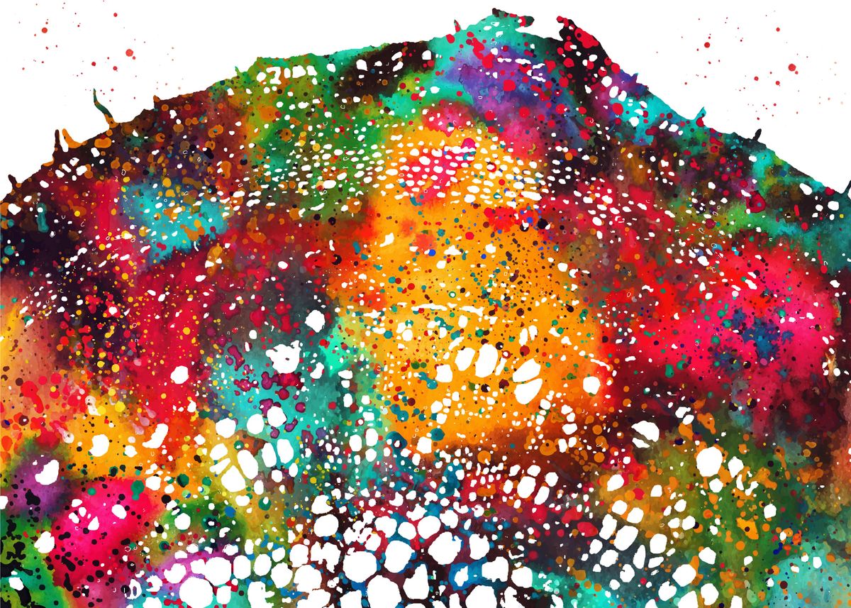 'Stem Cells Histology' Poster, picture, metal print, paint by Erzebet ...