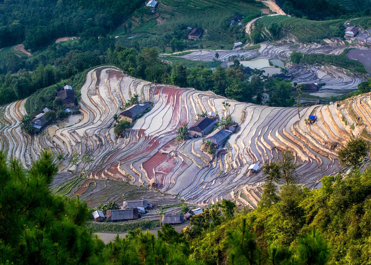 'Amazing rice terraces' Poster by Thanh Hoang Cong | Displate
