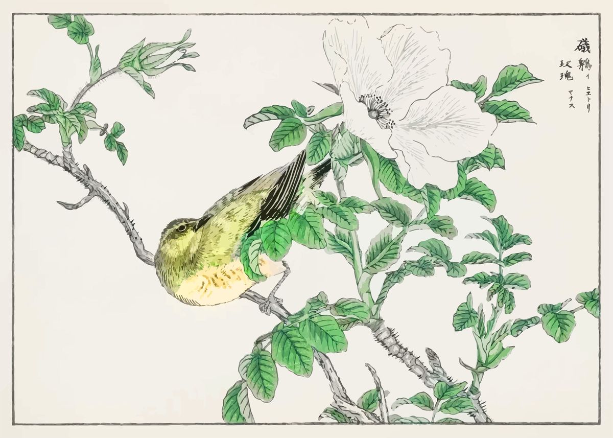 'Bulbul and Rosa Rugosa' Poster, picture, metal print, paint by Na ...