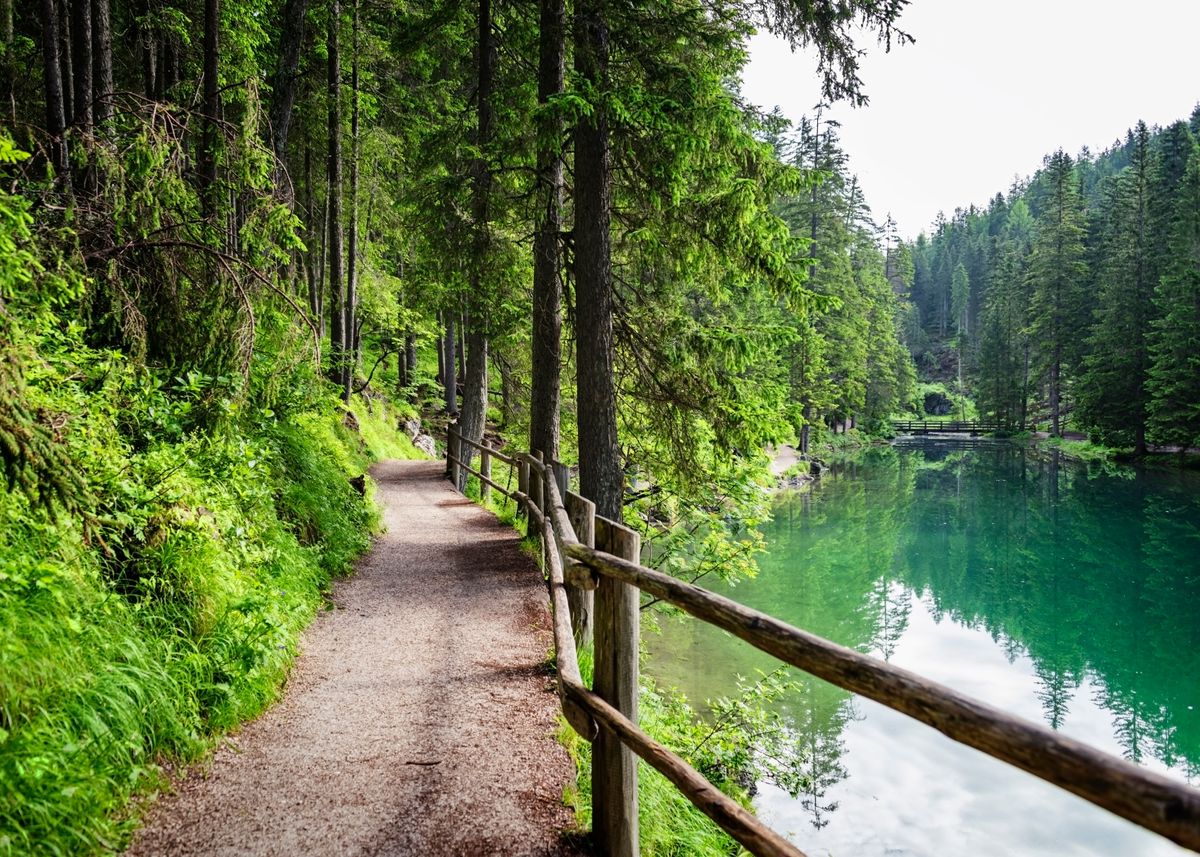 'Lakeside' Poster, picture, metal print, paint by Mango Art | Displate