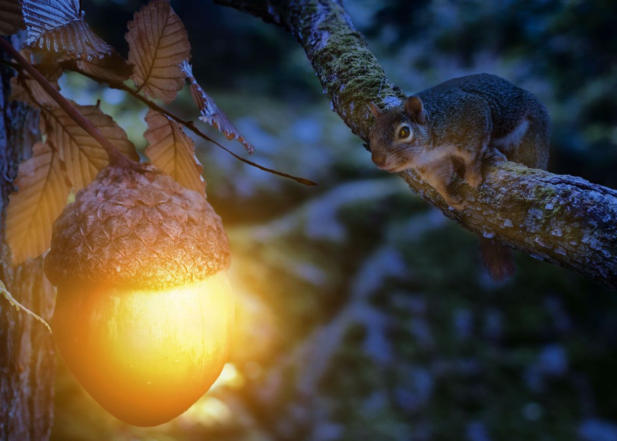 'The Golden Acorn' Poster, picture, metal print, paint by Piat ...