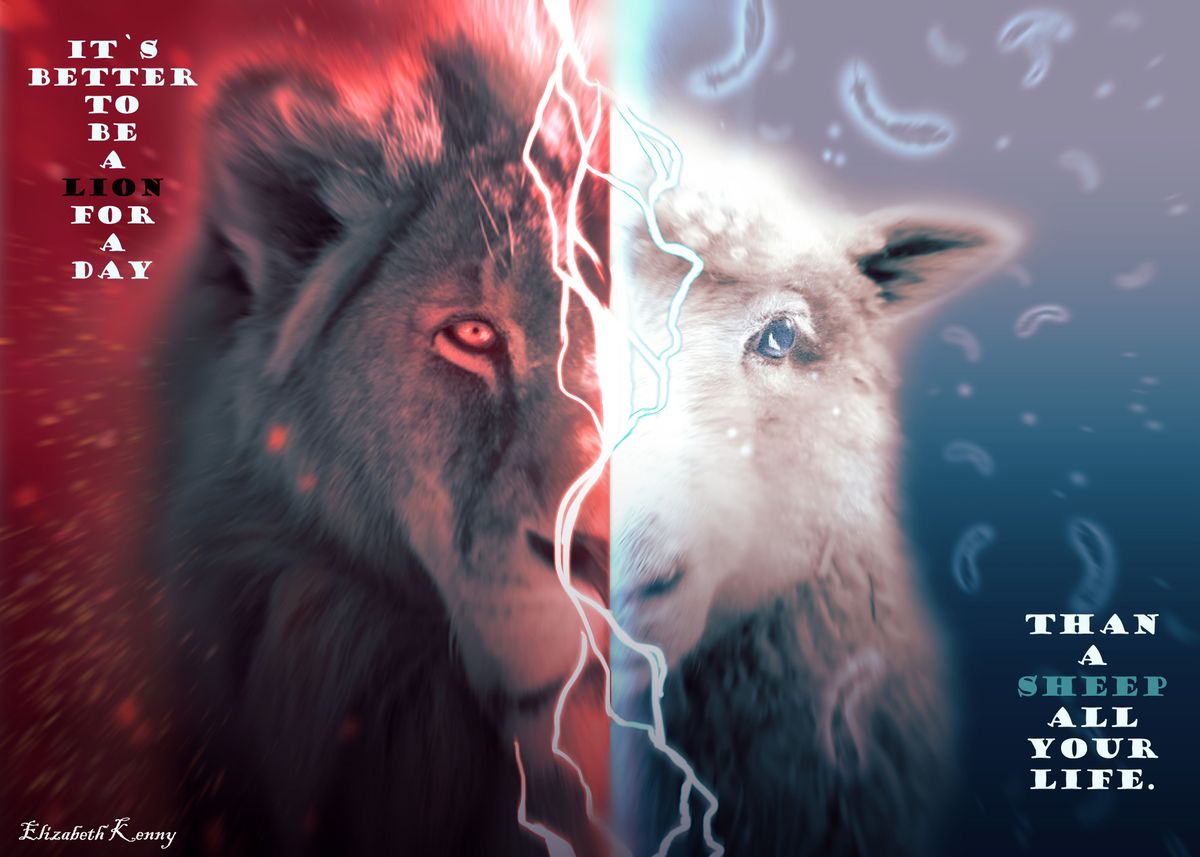 'Lion vs sheep' Poster, picture, metal print, paint by Thudle Kuro ...
