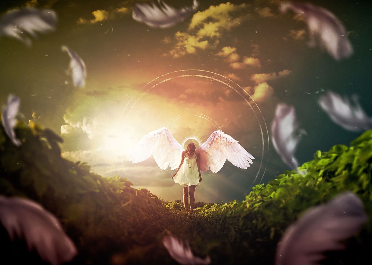 'Angel' Poster, picture, metal print, paint by Patryk Andrzejewski ...