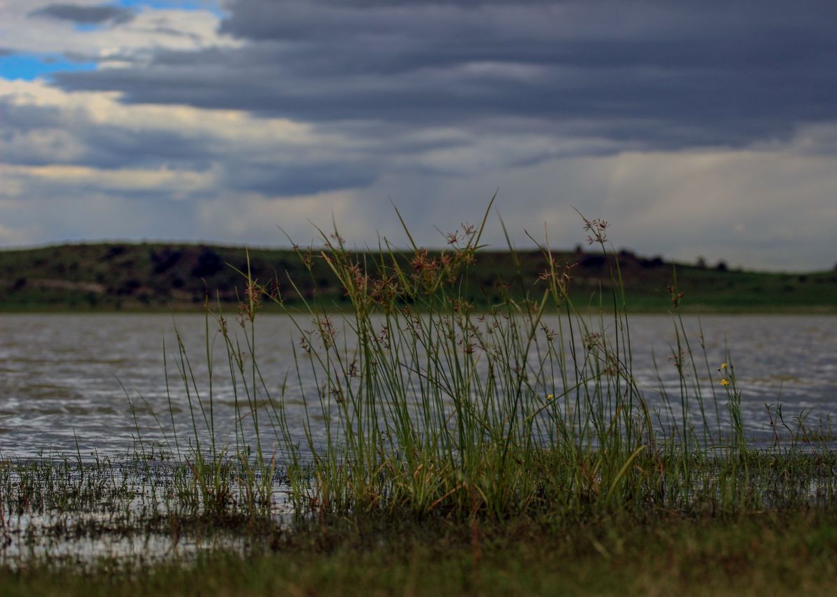 'Rainy day at a lake' Poster by Vladimira Pufflerova | Displate