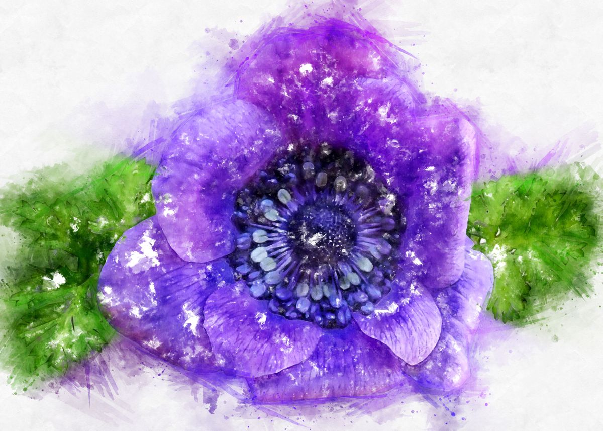 'purple anemone watercolor' Poster by TheGolden Hand | Displate