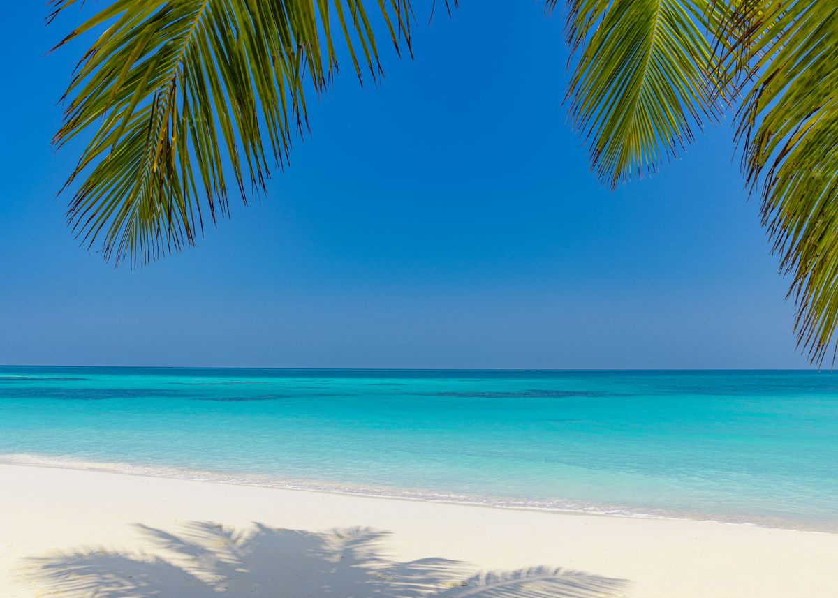 'Beautiful tropical beach' Poster, picture, metal print, paint by ...