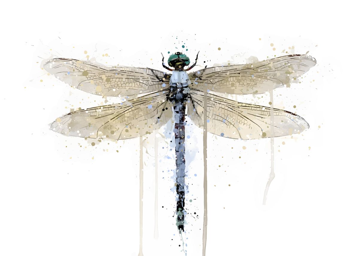 'Dragonfly Powder Blue' Poster, picture, metal print, paint by Izu ...
