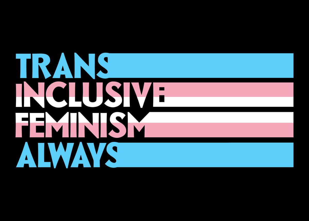 'Transfeminism Trans' Poster, picture, metal print, paint by Michael ...