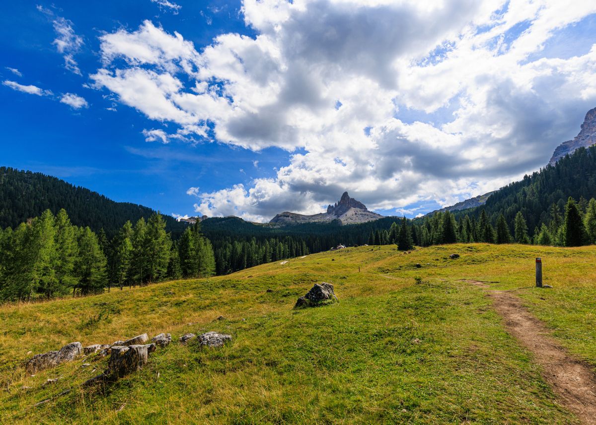 'Croda da Lago Dolomites' Poster, picture, metal print, paint by ...