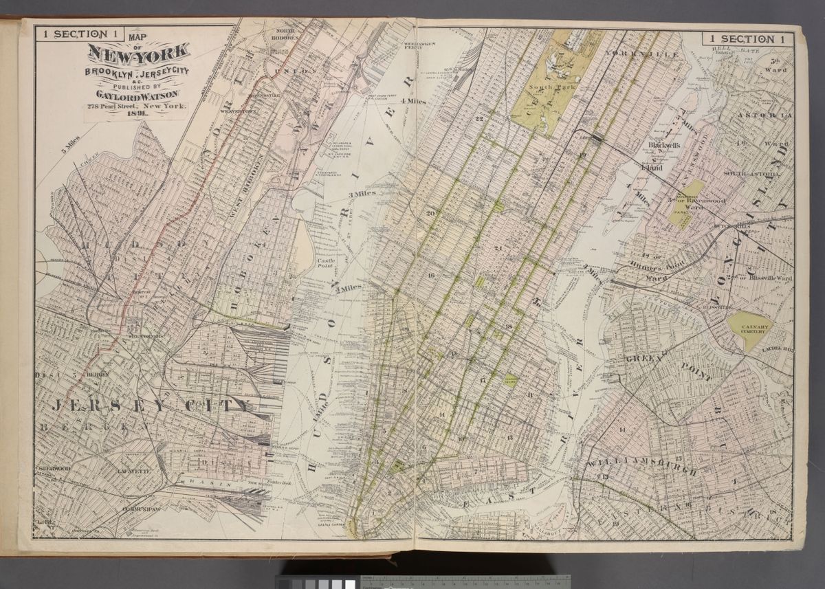 'Map of New York 1891' Poster, picture, metal print, paint by NTx ...
