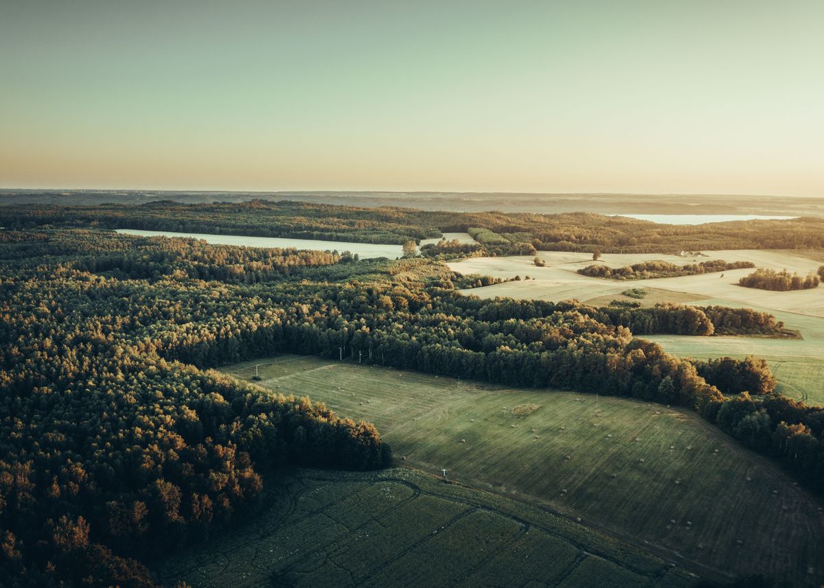 'Golden Landscape' Poster by Adam Stolarczyk | Displate