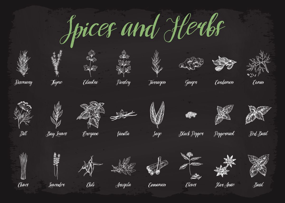'Spices and Herbs Guide' Poster, picture, metal print, paint by ...