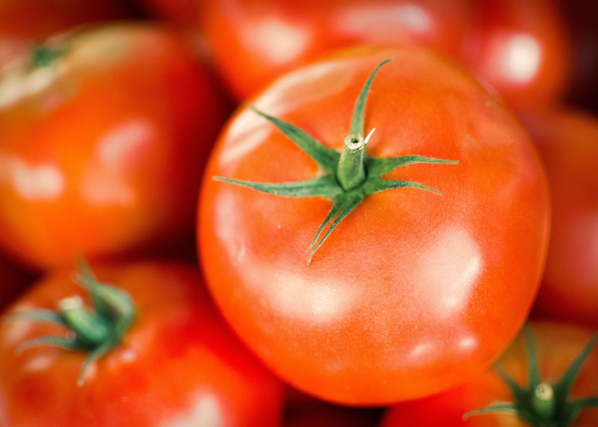 'big tomato' Poster, picture, metal print, paint by KROCKNER YR. | Displate