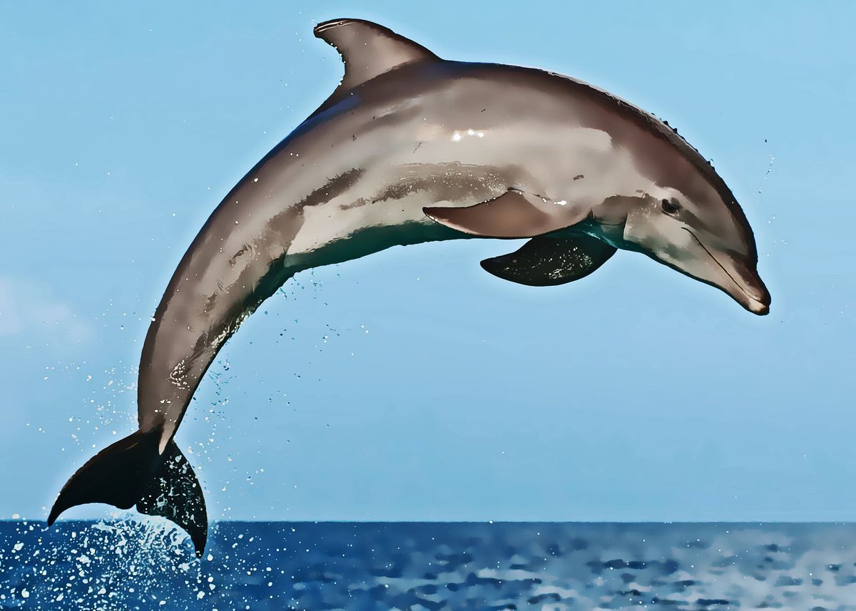 'a dolphin jumping' Poster, picture, metal print, paint by PENGDUA XYZ ...