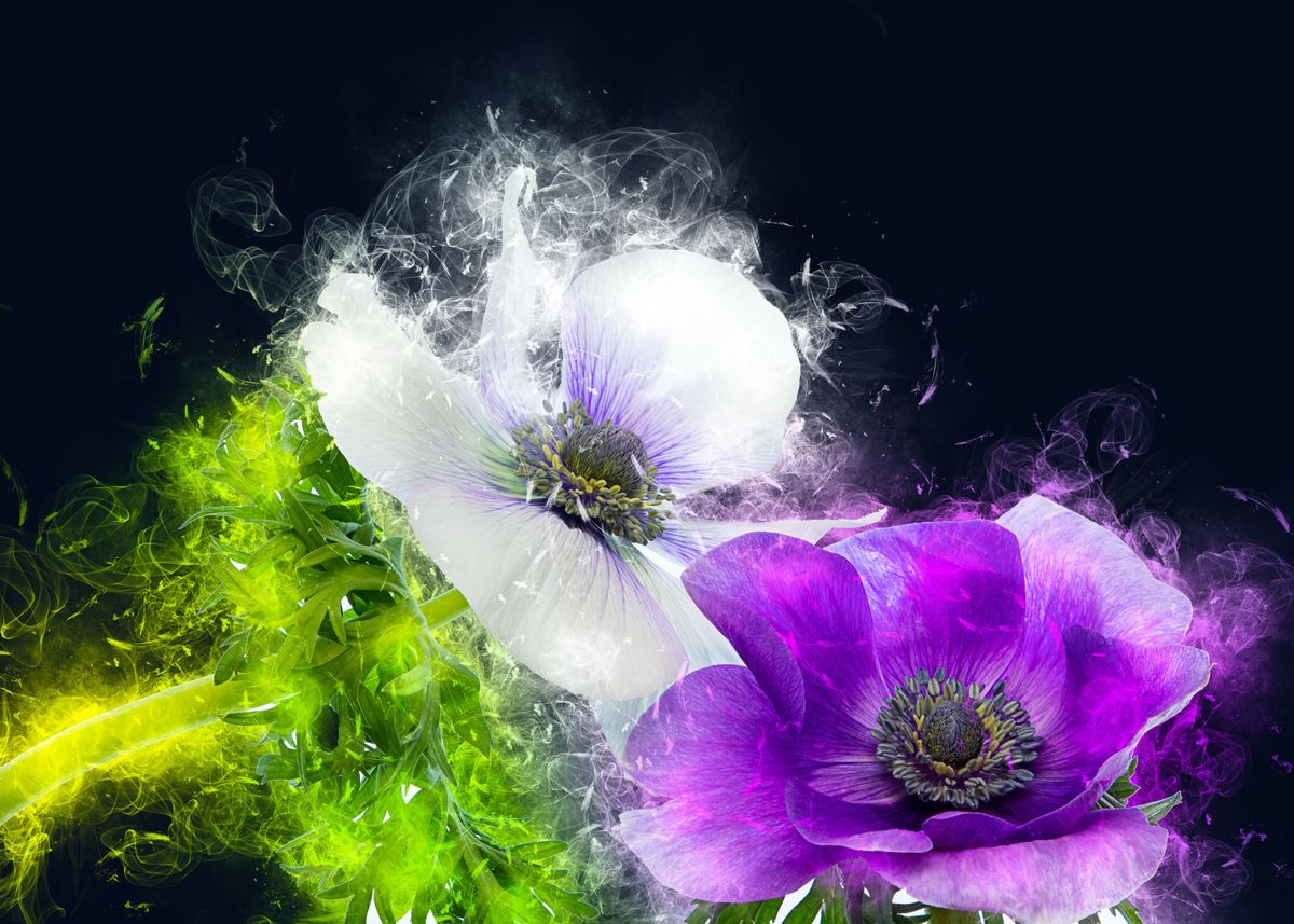 'purple smoky flower' Poster, picture, metal print, paint by Soft Brush ...